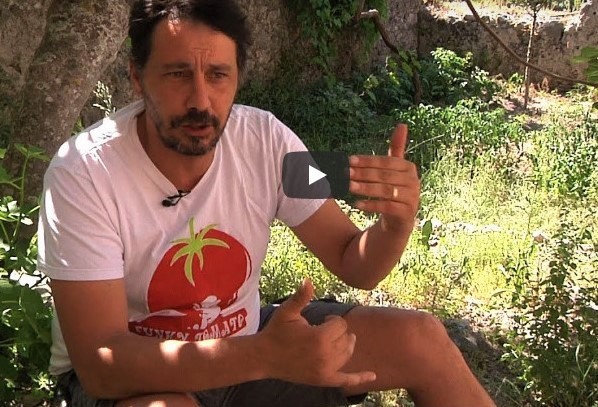 Funky Tomato, il pomodoro etico che supera il caporalato | Calabria che ...