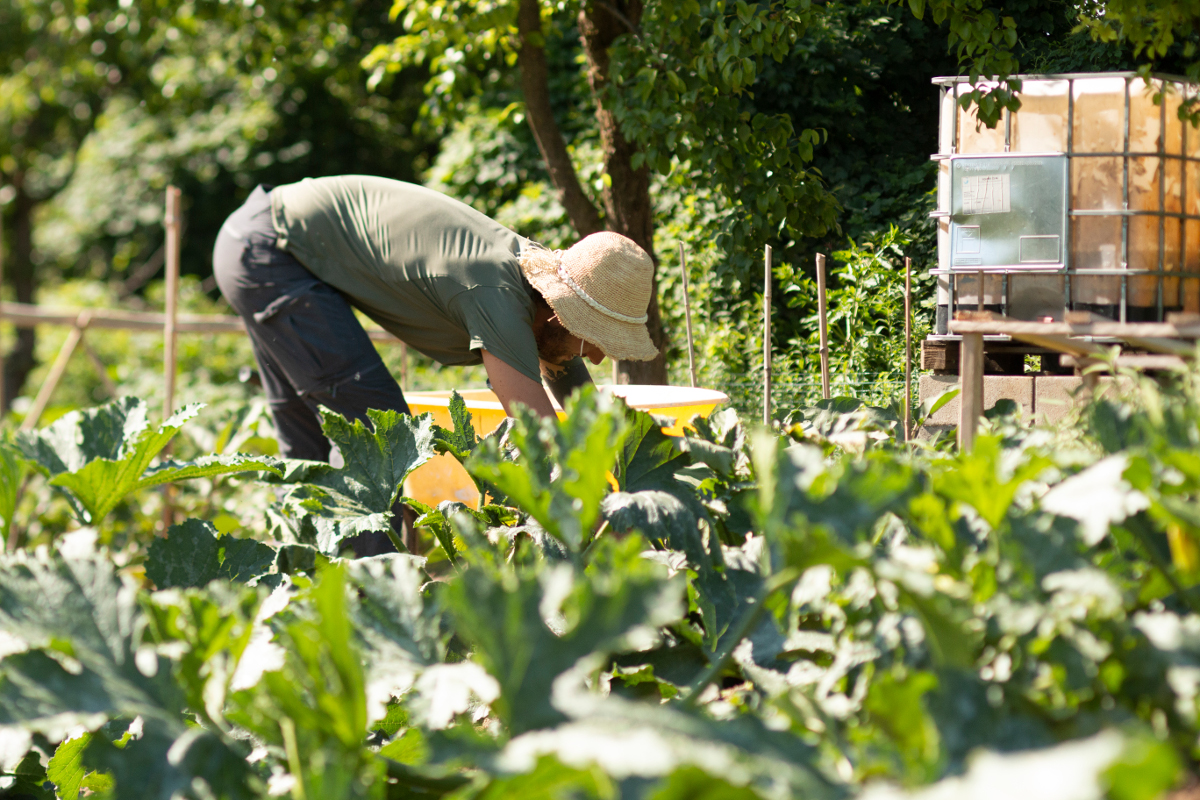 Sebastiano, il giovane contadino che per cambiare il mondo coltiva la ...