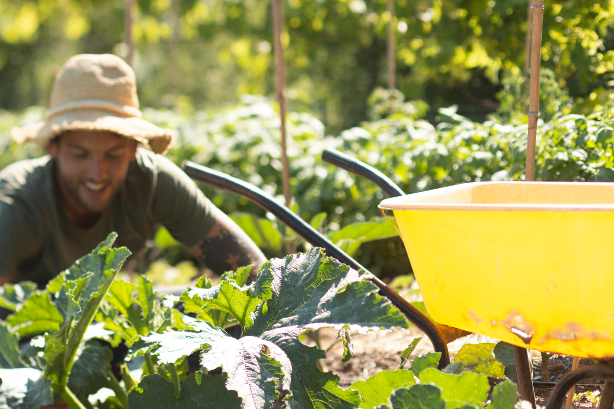 Sebastiano, il giovane contadino che per cambiare il mondo coltiva la ...