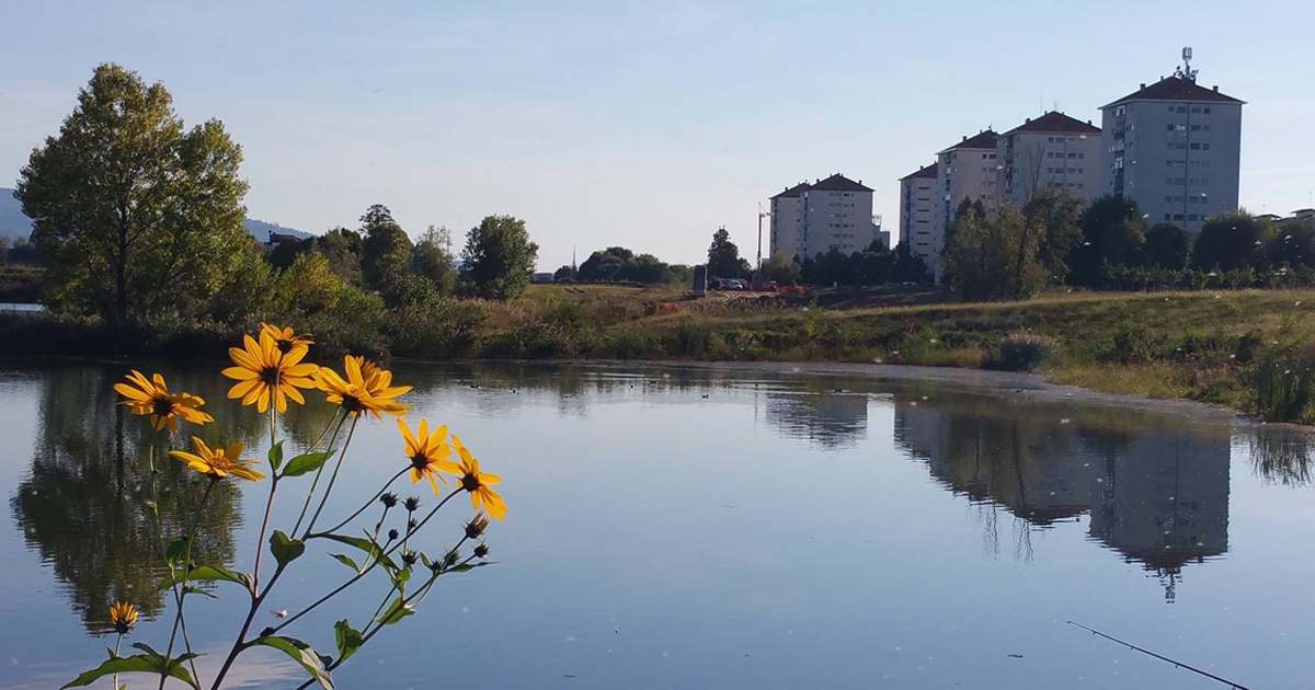 Da ex discarica al Parco dei laghetti: il verde urbano che rilancia il ...