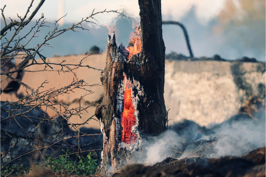 Gli incendi di domani vanno spenti oggi: ecco perché è necessario ...