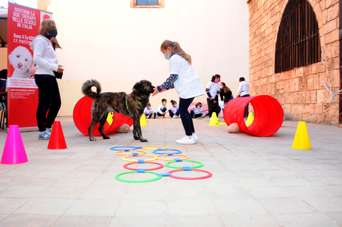 La Dog Therapy arriva tra i banchi di scuola per donare il sorriso ai ...