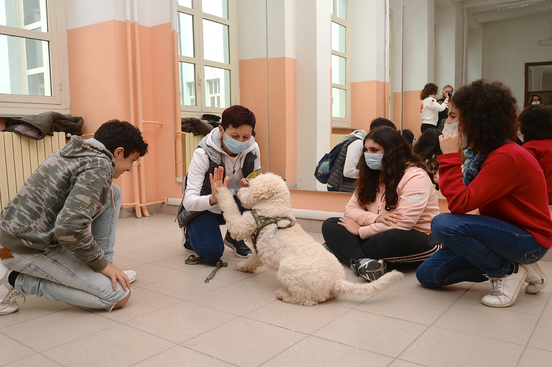 La Dog Therapy arriva tra i banchi di scuola per donare il sorriso ai ...