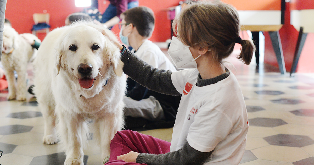La Dog Therapy arriva tra i banchi di scuola per donare il sorriso ai ...