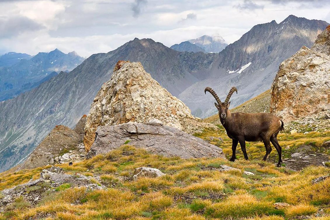 Avvicinare i giovani alla natura, alla scoperta dei parchi nazionali ...