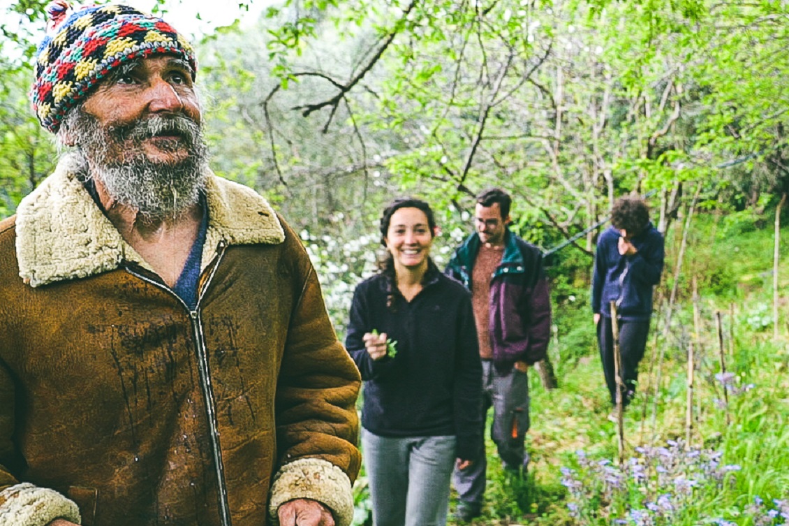 Ritorno alle origini: l'esperienza degli “elfi” attraverso gli scritti ...