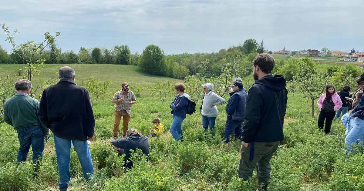 Produrre cibo sano e biologico attorno a una comunità: l’esempio ...