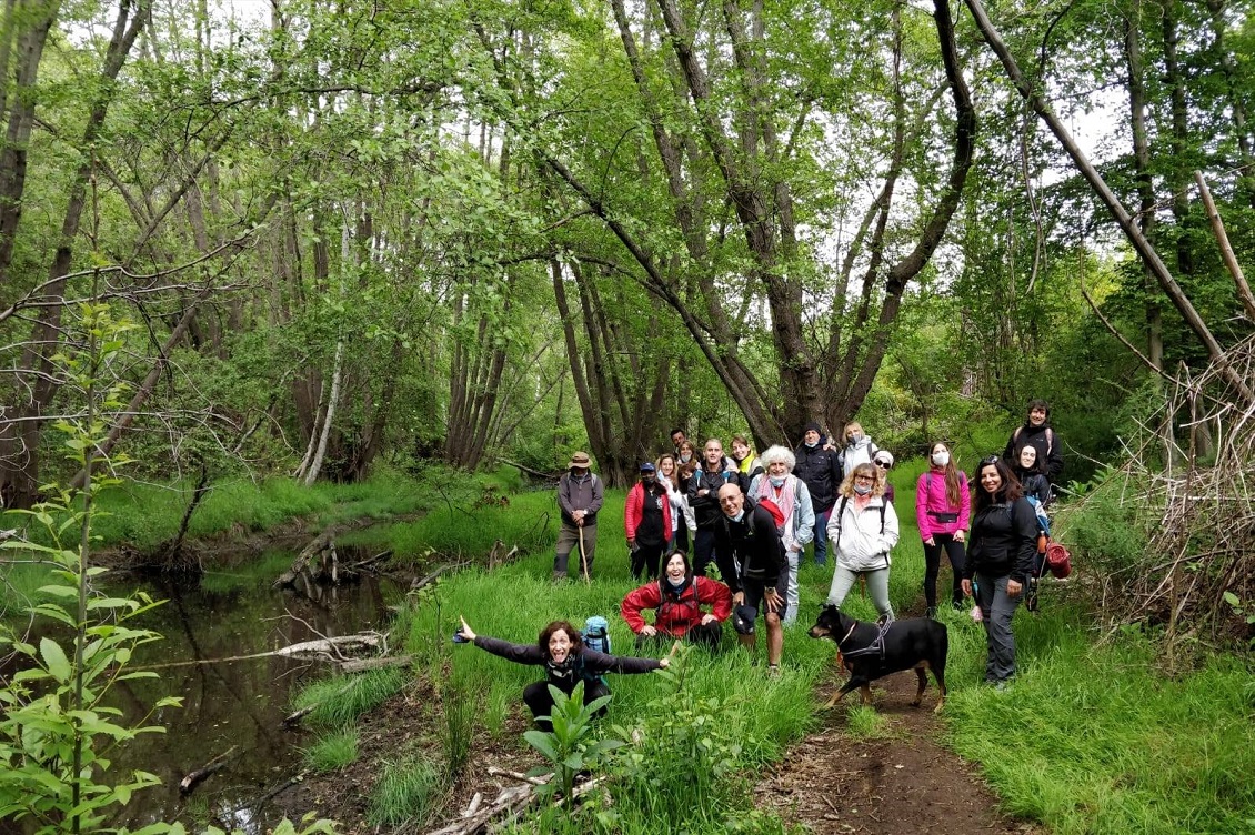 Due Libellule Azzurre in volo sui parchi laziali per avvicinare grandi ...