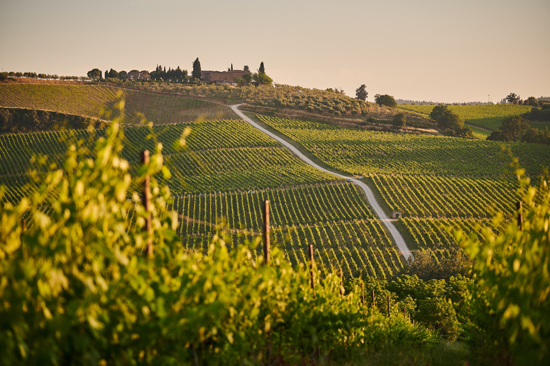 Nasce l'elenco regionale dei vigneti eroici e storici del Piemonte ...
