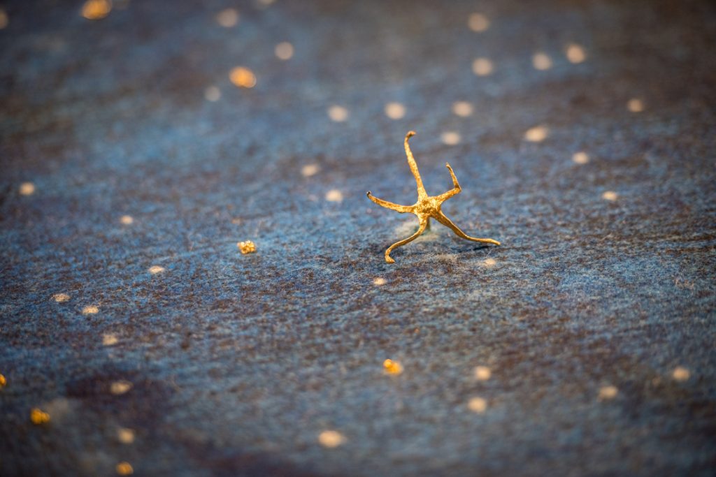La notte di Sant’Anna: dal ricamo collettivo un'opera d'arte ...