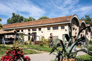 Rob de Matt A.p.s. | Italia che cambia