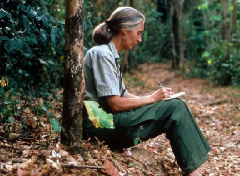 Daniela De Donno e l'Istituto Jane Goodall: aiutare gli esseri umani ...