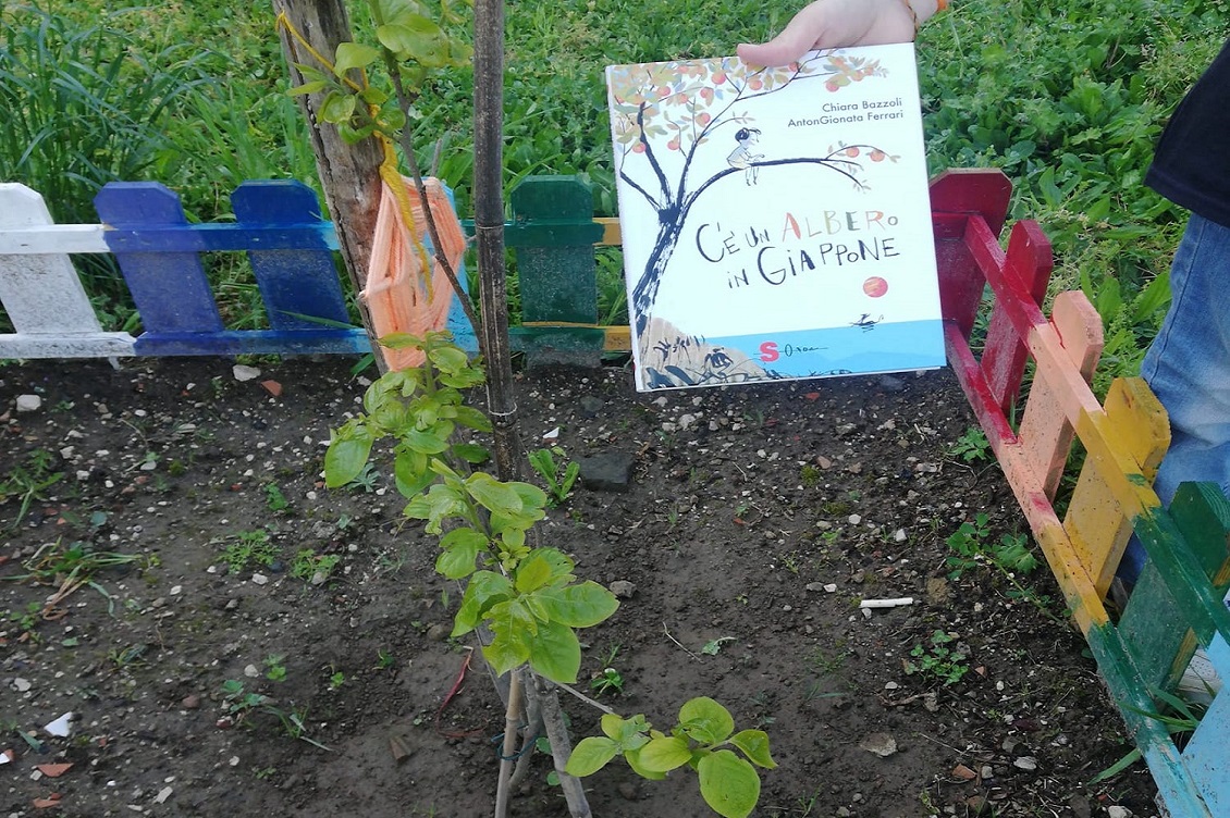 Kaki Tree, alberi della pace per unire i progetti virtuosi e creare ...