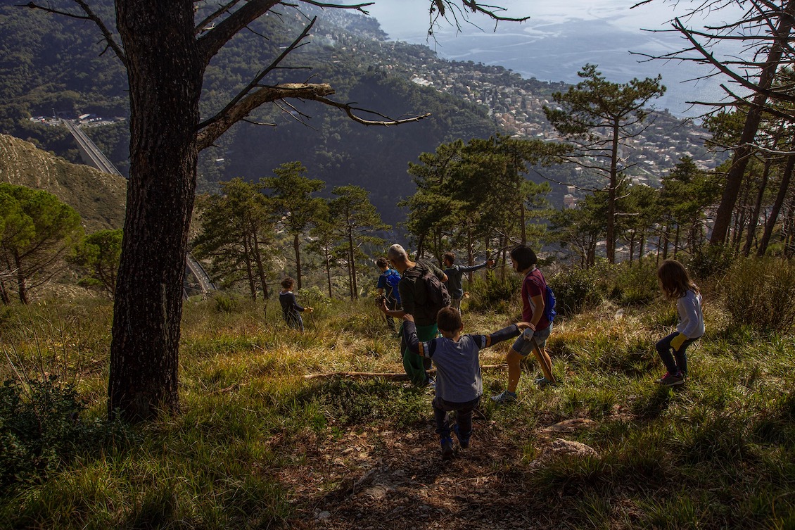 Il traguardo di A Thousand Trees Project: mille alberi piantati a Nervi ...