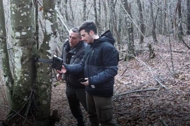 Il ritorno dei lupi in Liguria, tra speranze e paure: come convivere ...