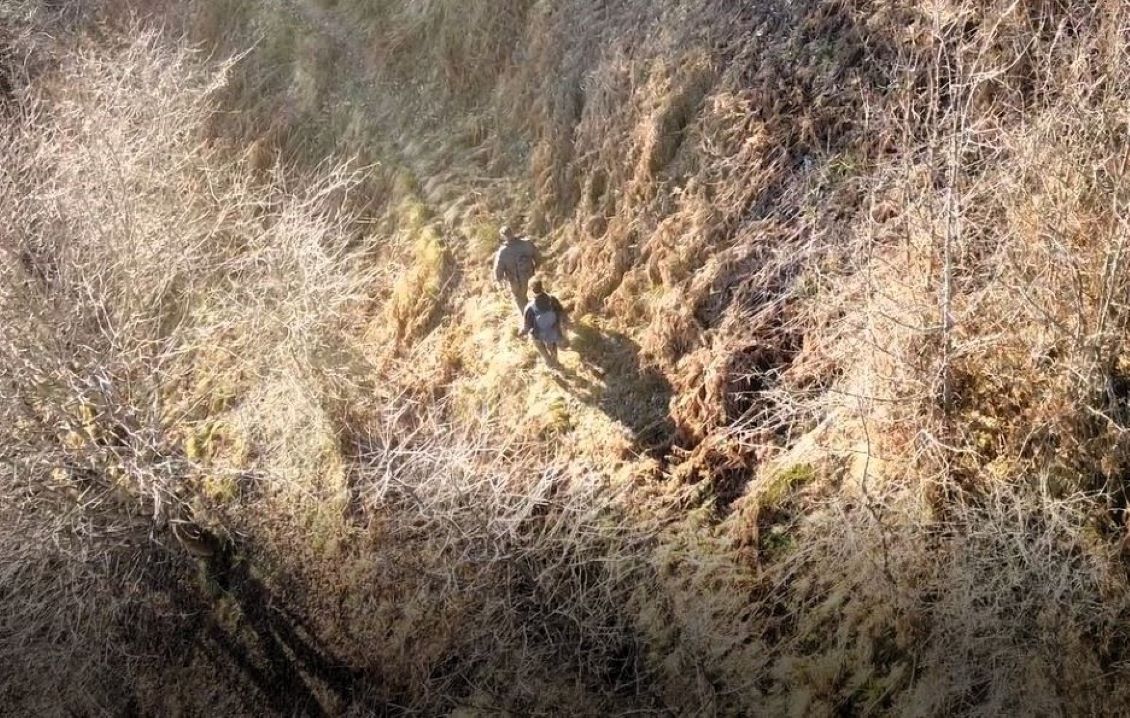 Il ritorno dei lupi in Liguria, tra speranze e paure: come convivere ...