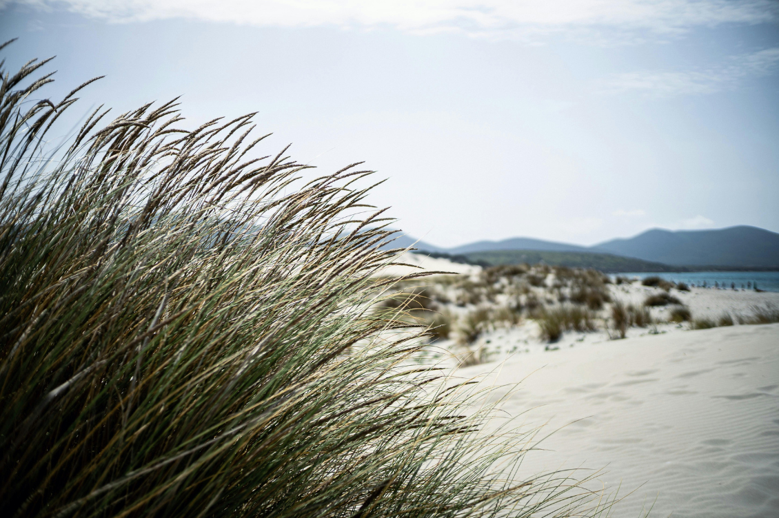 Punto di partenza, casa, rifugio: l'Isola oltre i confini, tra ...